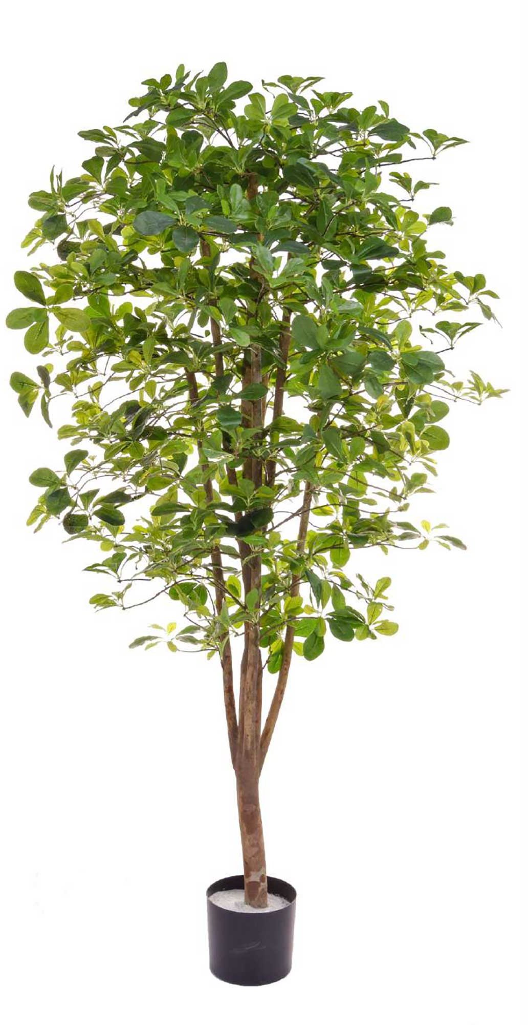 Schefflera Artificial Potted Tree - 180cm Tall - Dansk
