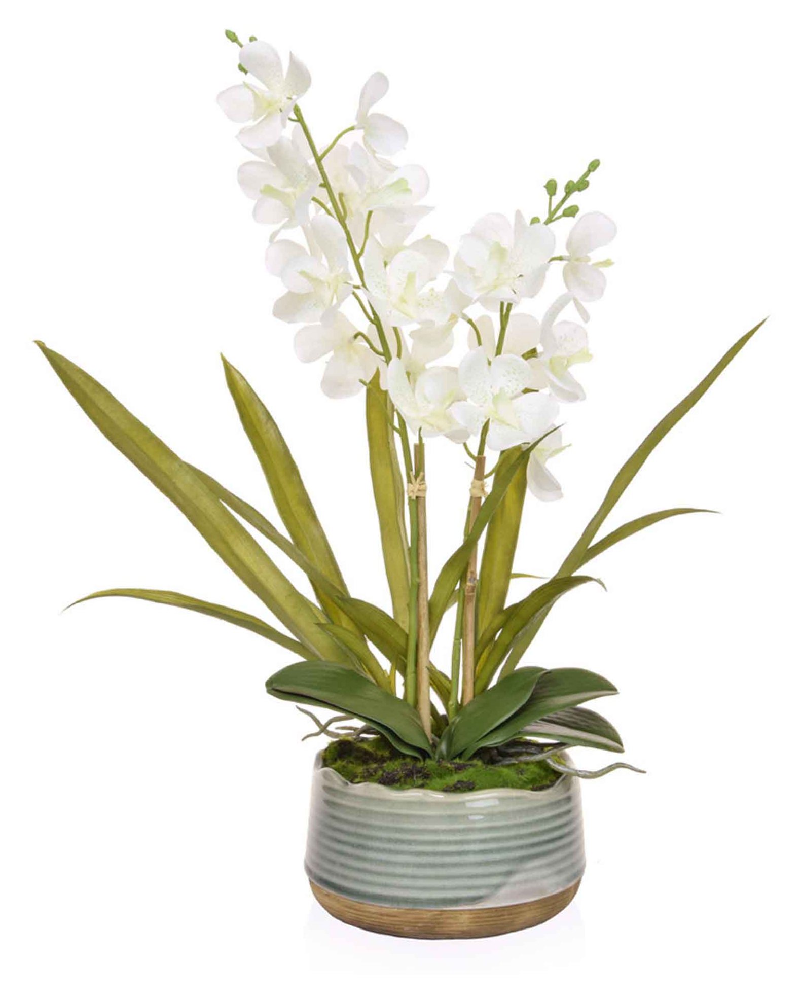 Artificial White Vanda Orchid Plant in Pot - Dansk